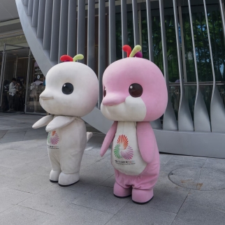 魅力羊城大湾鸡 