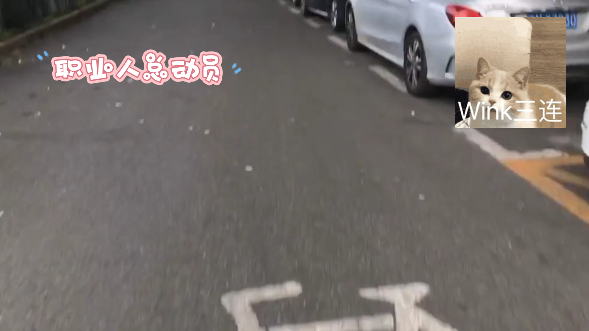 职业人总动员:长沙实习生一天是怎样的?过好自己的小日子 简单知足且...
