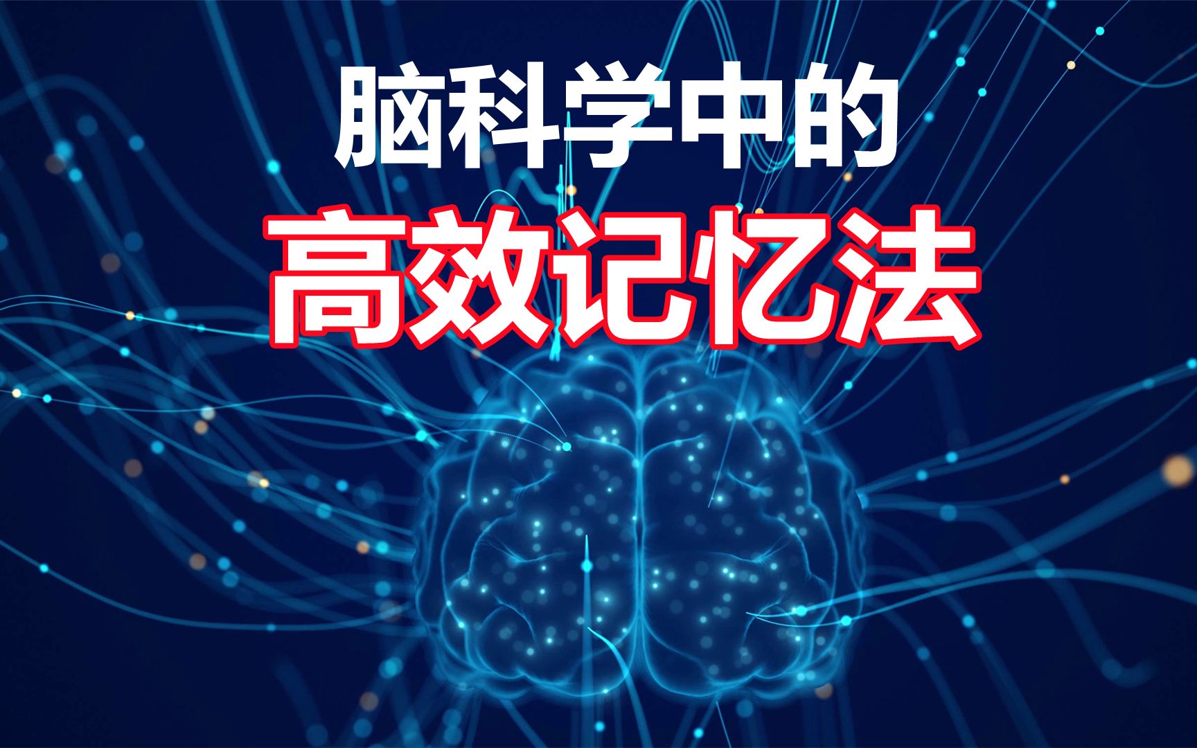 灵活运用大脑的记忆规则,实现高效记忆!
