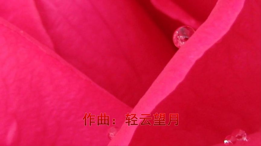 早上好,清晨送上最美的问候,祝朋友心情好、开心每一天