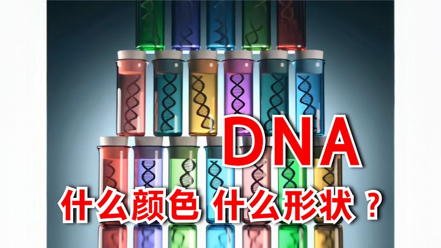 在家就能提取DNA,快来看看你的祖传染色体长啥样