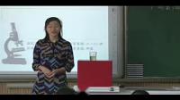 【获奖】教科版小学科学六年级下册一 微小世界用显微镜观察身边的...