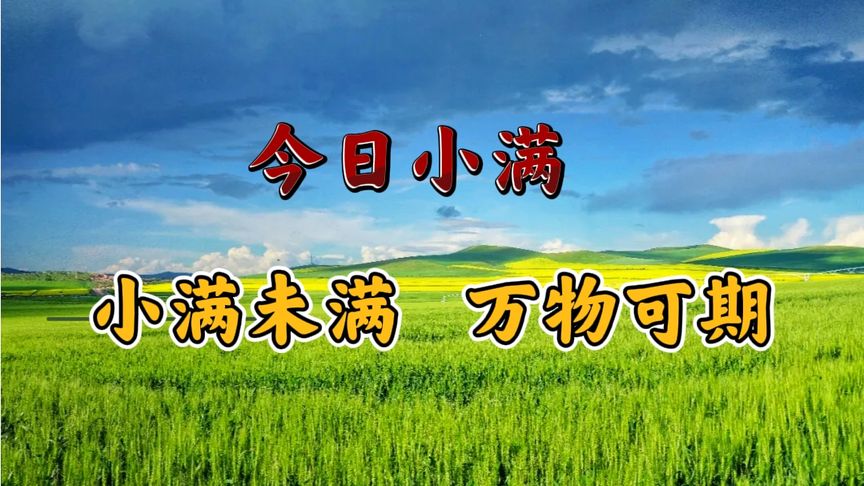 今日小满,人生不求太满,小满即是圆满