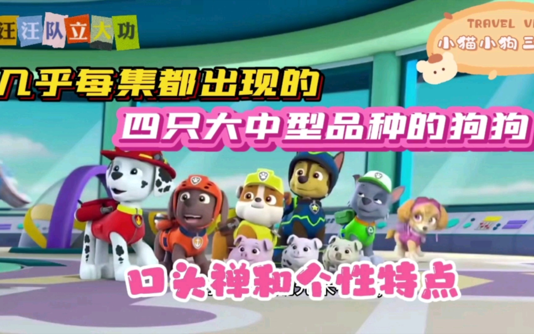 汪汪队立大功,从狗狗的口头禅,看不同品种的狗狗个性特点(一)