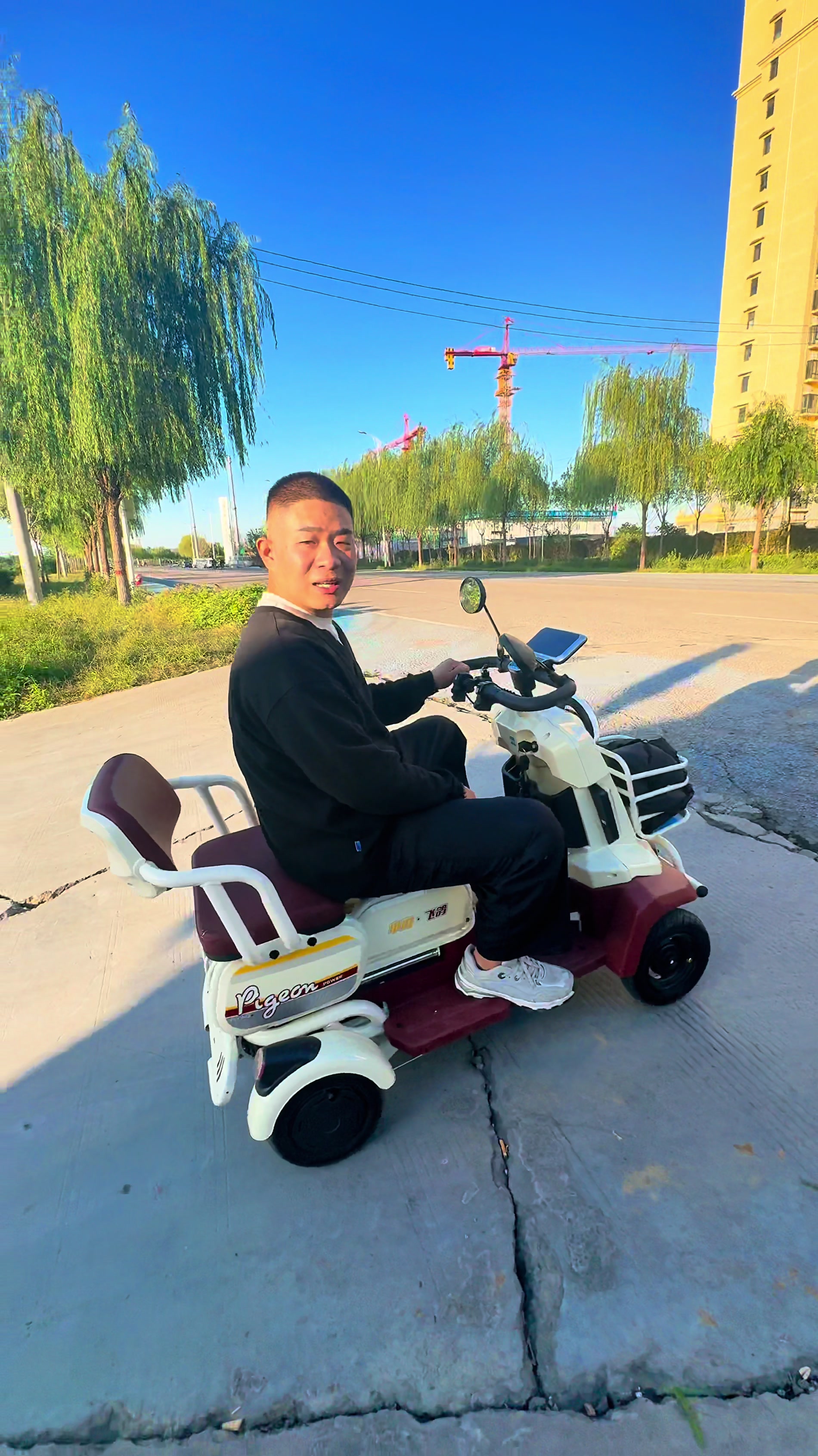 再也不用担心爬不上坡了 新款飞鸽四轮电动车,代步休闲车,爬坡轻松,...