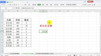 WPS Excel公式与函数教程求和逻辑日期查找引用财务函数 第9集 ...