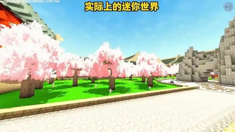 你以为的VS实际上的迷你世界