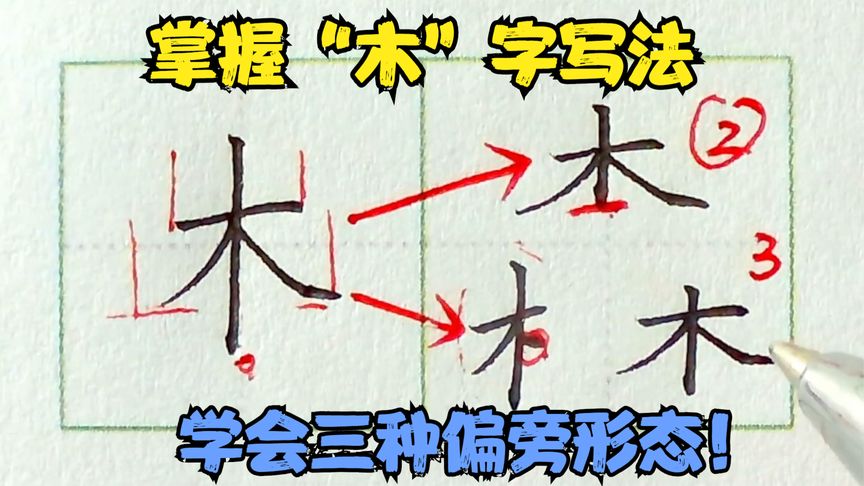 细致实用讲解,认真听完,轻松掌握“木”字偏旁!