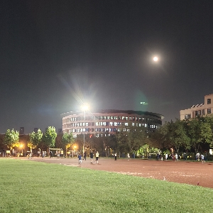 陕西科技大学张智维 