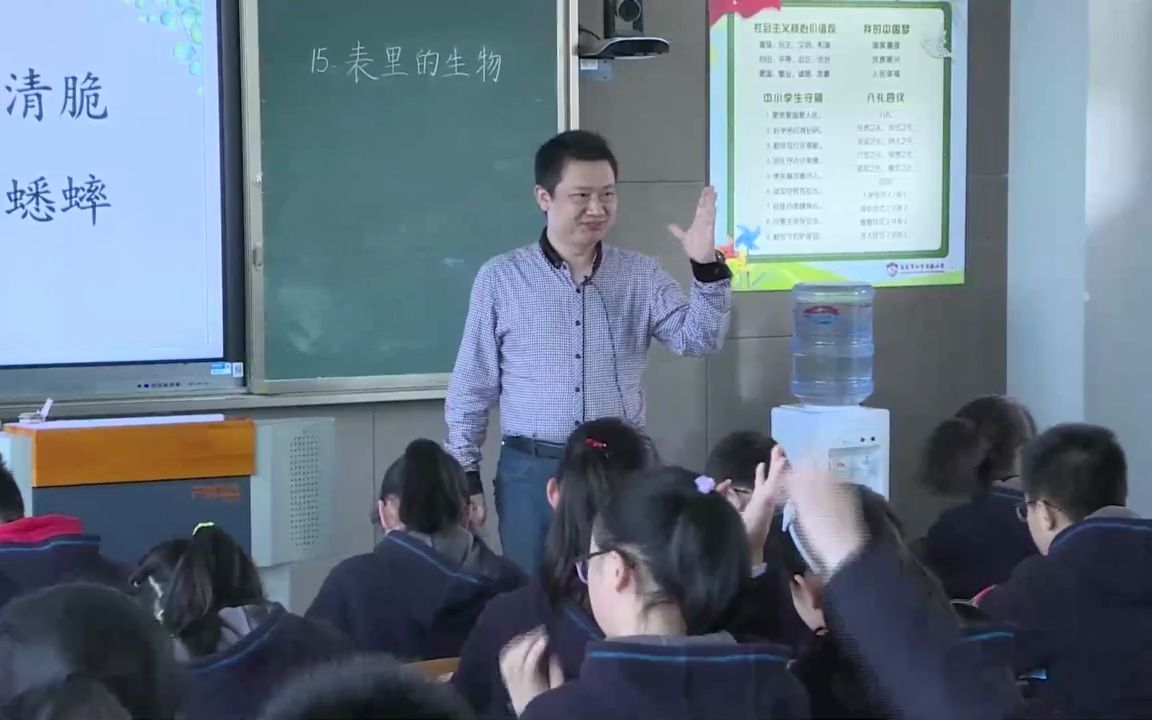 小学语文六年级下册:《表里的生物(第二课时)》(含PPT课件教案) 优质...
