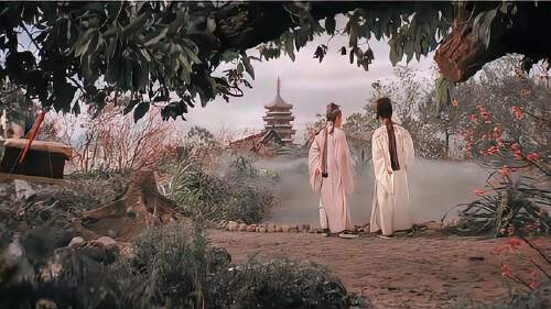 导演镜头下的绝美构图!这些经典画面每一帧都值得细品