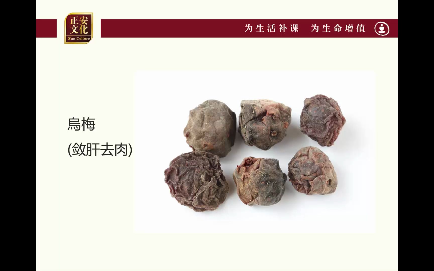 倪海厦老师弟子施合一经方药证学 第十四章 收敛安神药 04 乌梅