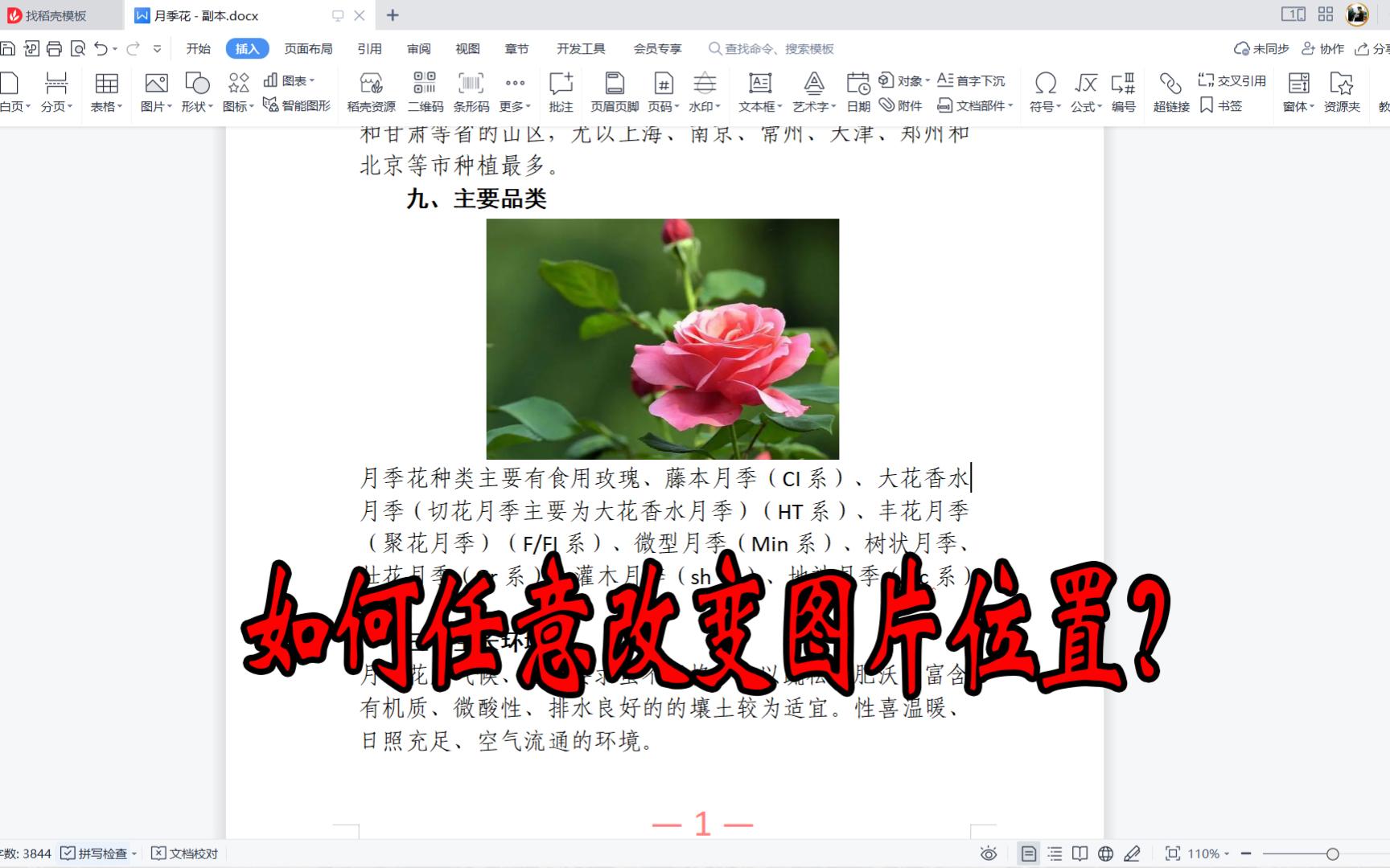 WPS文档怎样任意改变图片位置?可根据需求采用不同的方式