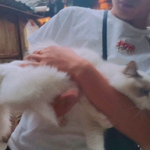 李爱婷呀 
