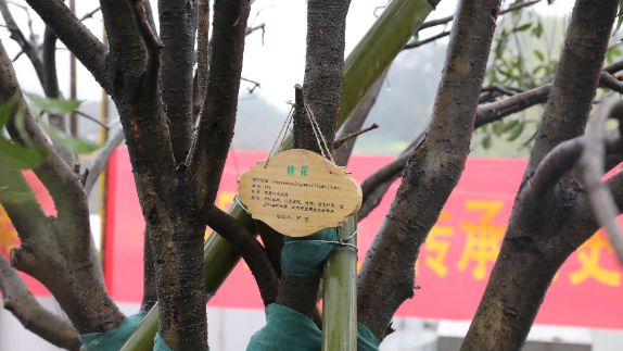 #植树节 爱绿护绿,共同营造“绿起来、美起来”的生态环境