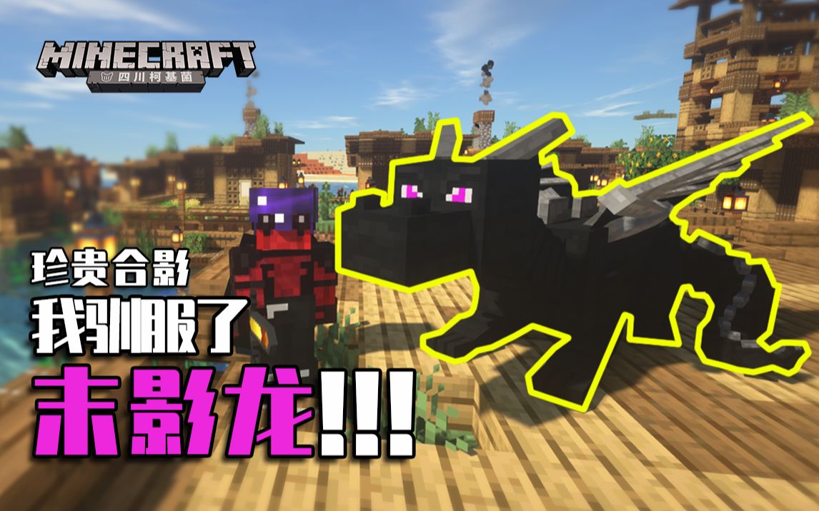 #14 末影龙都能驯服?! 我的世界1.15.2多模组单人困难生存EP14:推荐...