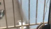 依来洁可调磁擦窗器使用教程