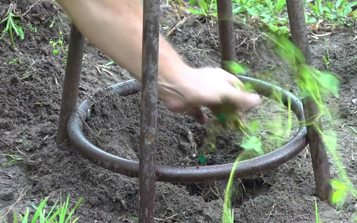 如何使用板凳为香蕉百香果架子