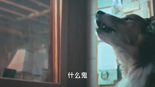 森林管理员目睹可疑人物谋害女孩