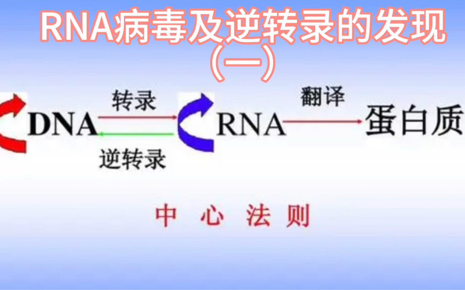 ...RNA病毒及逆转录的发现(一)打破原有中心法则的认知 克里克 DNA双...