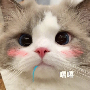 偶像观察家 