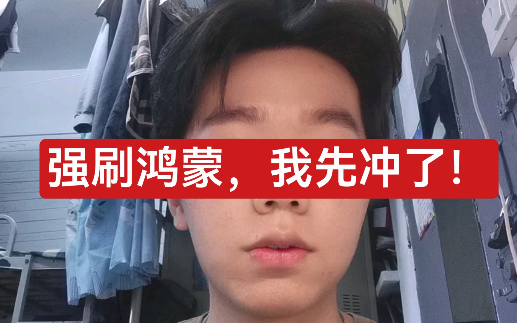 真的能强刷鸿蒙!含泪掏钱,我的平板有救了