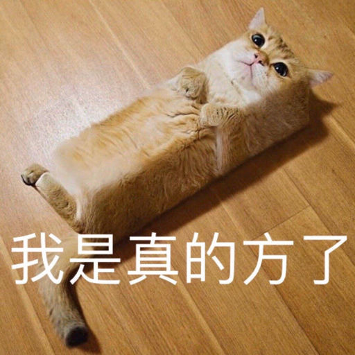 翔锅锅爱吃肉 
