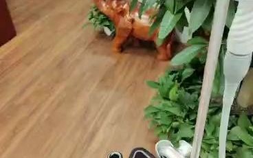 养生仪器经络疏通仪有用吗?养生理疗仪器经络疏通仪!