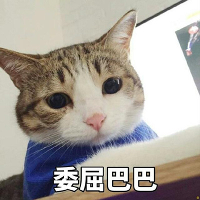 余笙北栀