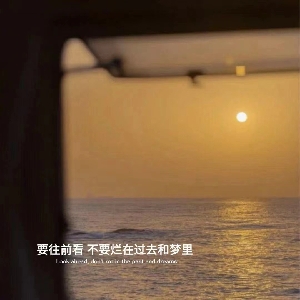 风雨似微尘 