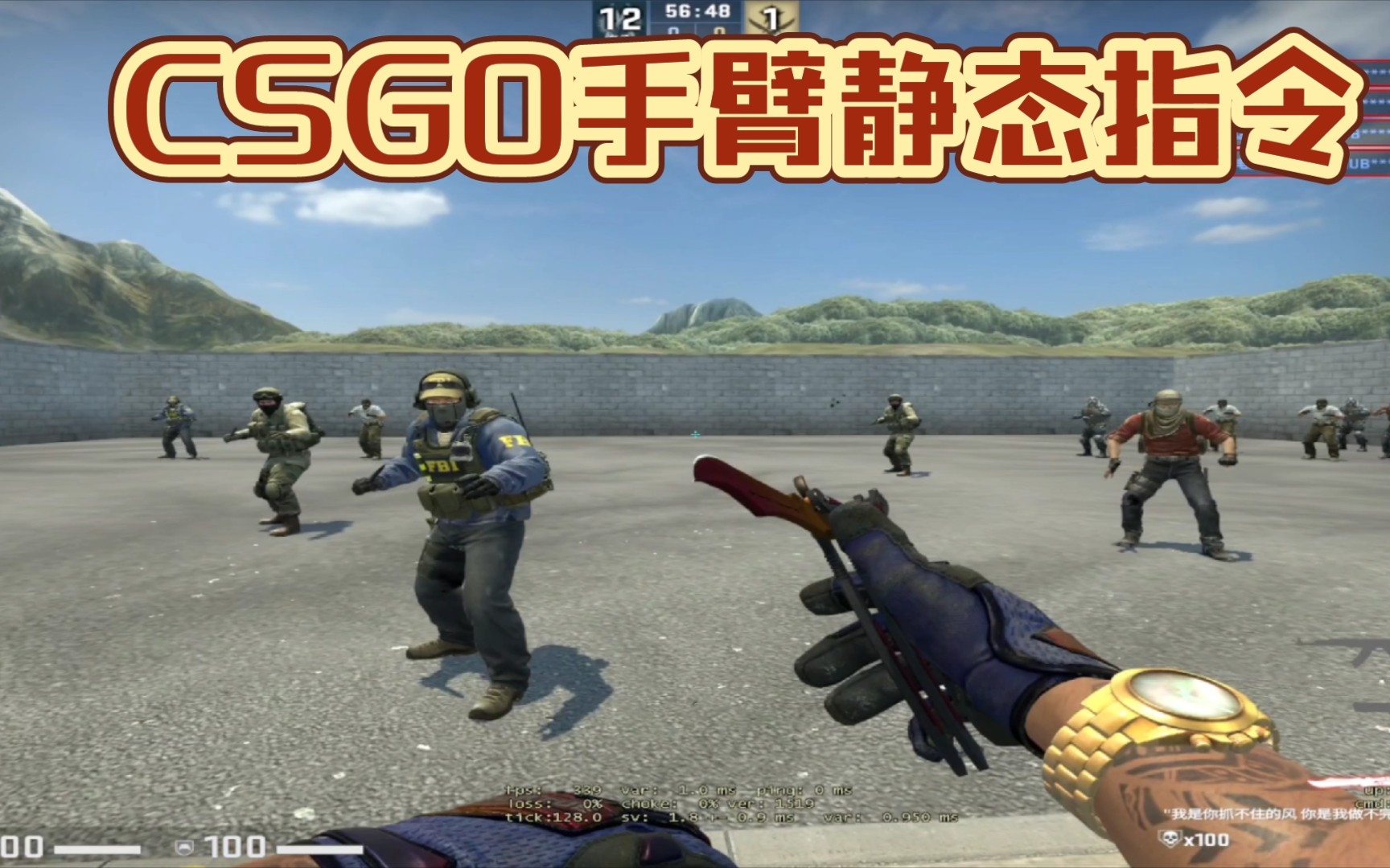CSGO手臂静态指令