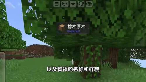 三款颠覆玩法的神级模组!让你的《我的世界》彻底变样