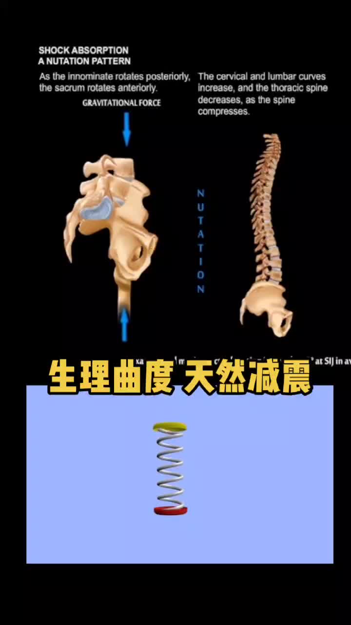 ...吊单杠会使脊柱变直,生理曲度消失,影响脊柱稳定性和增加下背痛风险!