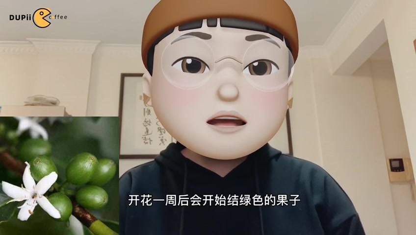 SUENEN第六课 咖啡需要多久才能收成?