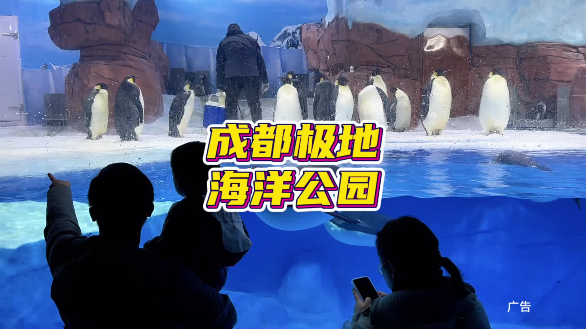 558ߟ�双人畅玩极地海洋公园到12月31日➕可带2名1米以下儿童免票...