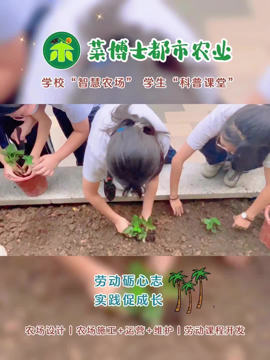 东莞劳动教育活动,深圳企业共享菜园分享学生劳动实践过程;研学基地...