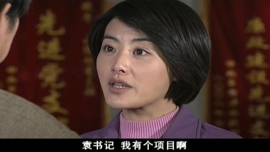 女村主任向乡里书记推荐项目,引起书记重视,要亲自考察