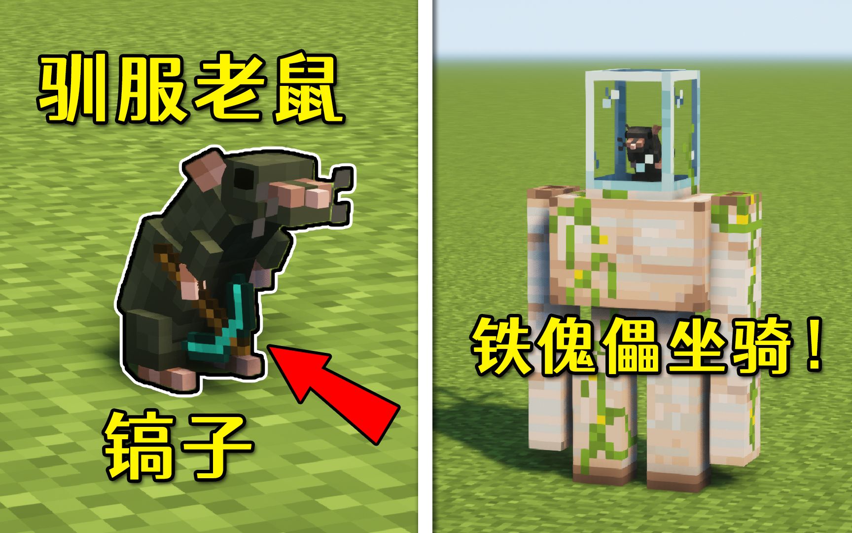 我的世界:当mc添加老鼠!驯服后会挖矿,还可以骑铁傀儡坐骑!