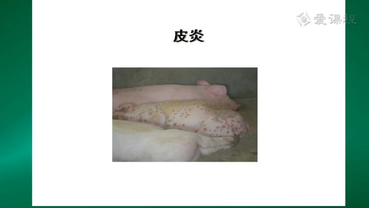 【扬州大学】兽医微生物学