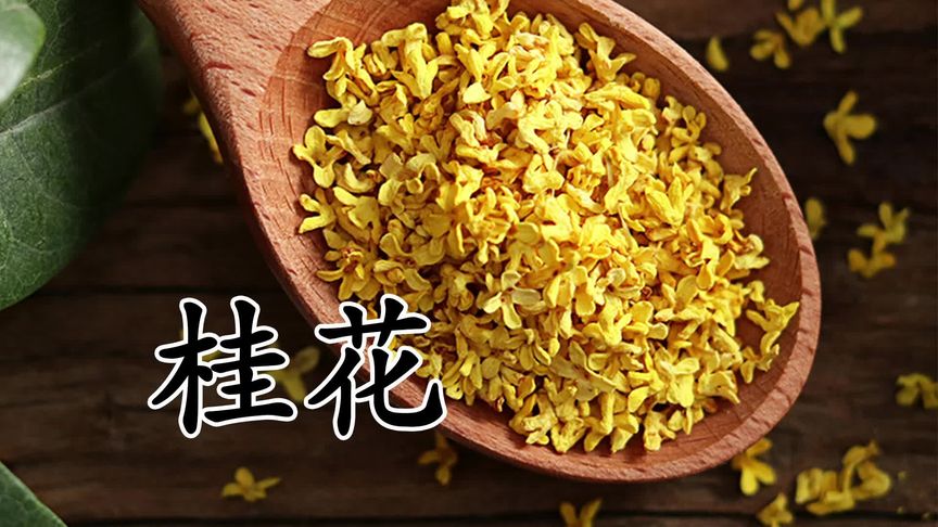 每天泡杯桂花茶,促进胃肠道健康,清除体内毒素