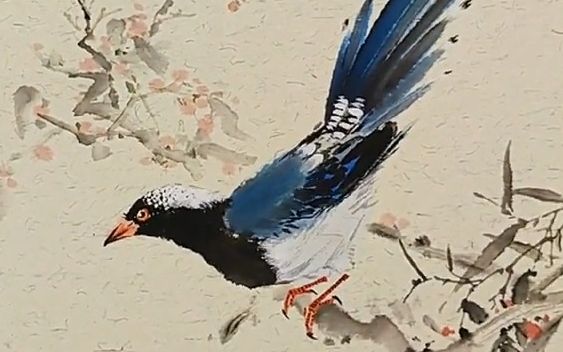 【国画】最详细的水墨画绘画过程,国画红嘴长尾蓝鹊,第二集来啦!