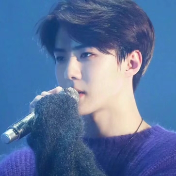 宇宙第一小鸡国国王 