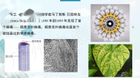 新冠病毒科普小知识