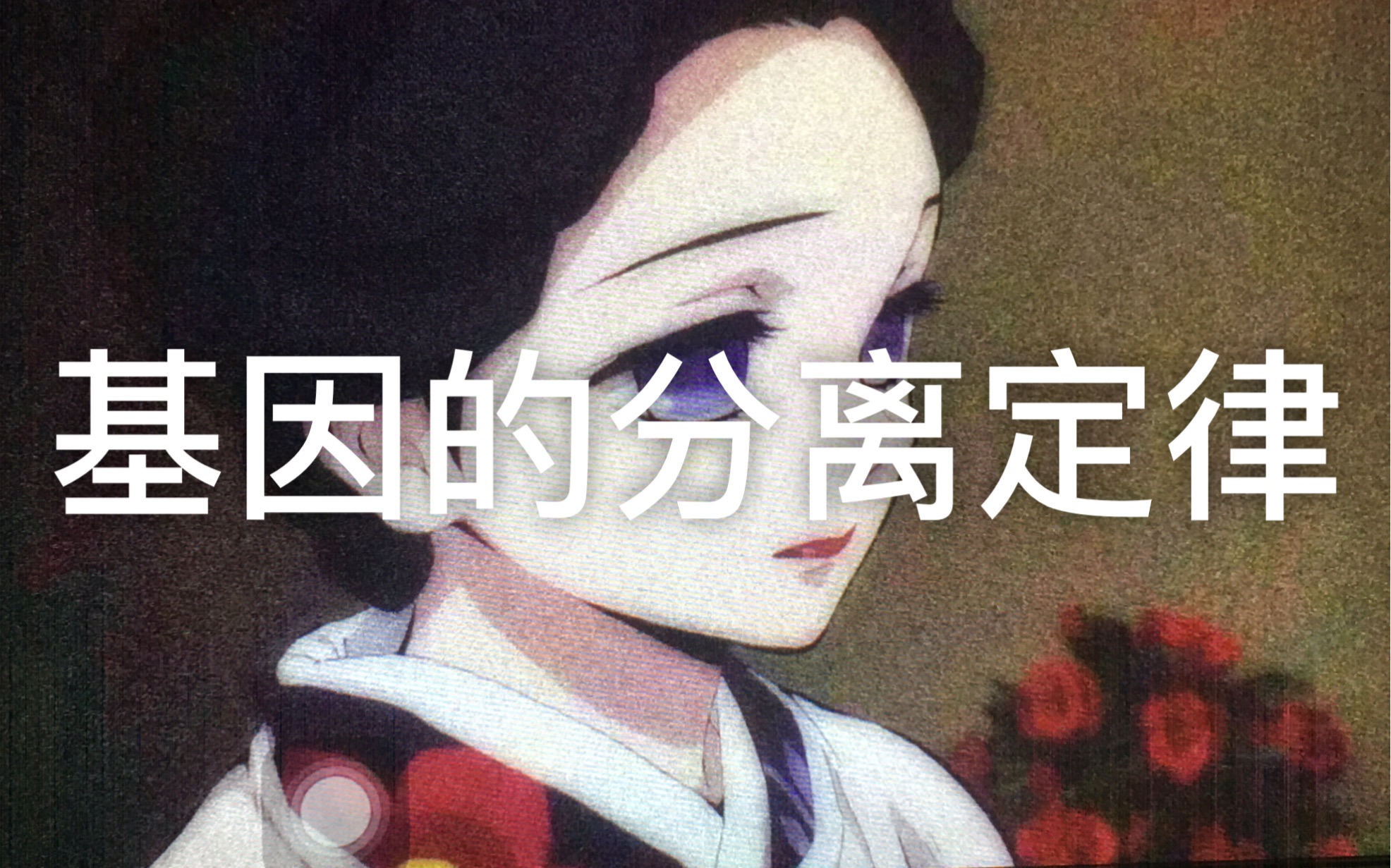【高中生物必修二】基因的分离定律