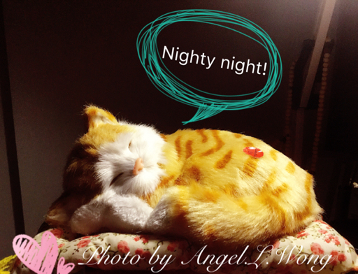 喵星人安琪Angel 