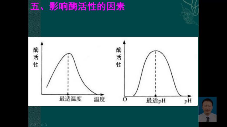 第三章 细胞的代谢 第六节课11班