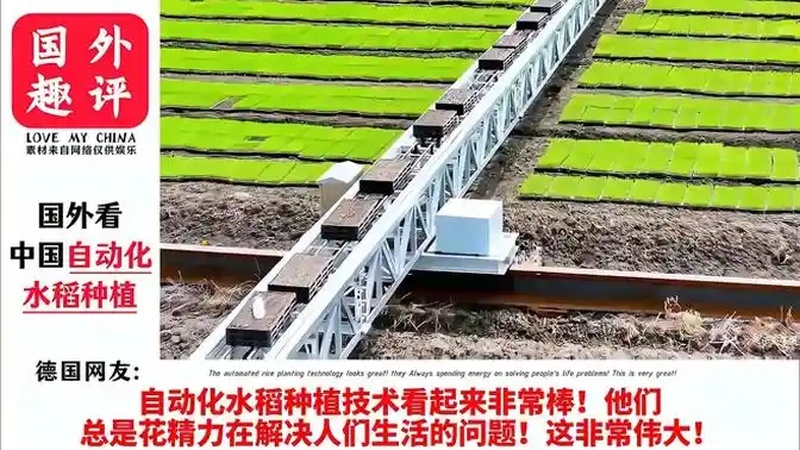 国外看中国自动化水稻种植