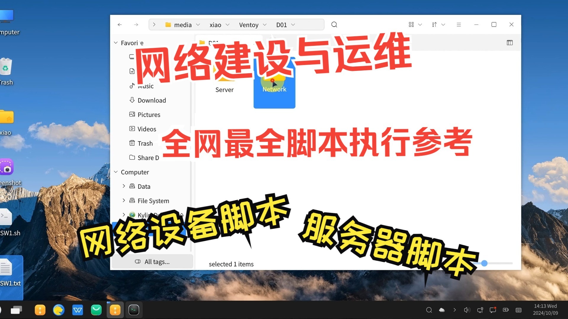 Linux、windows Server、网络设备执行脚本获取结果参考