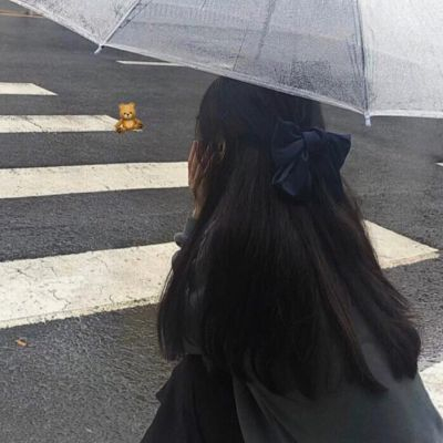 世界名犬合同点 