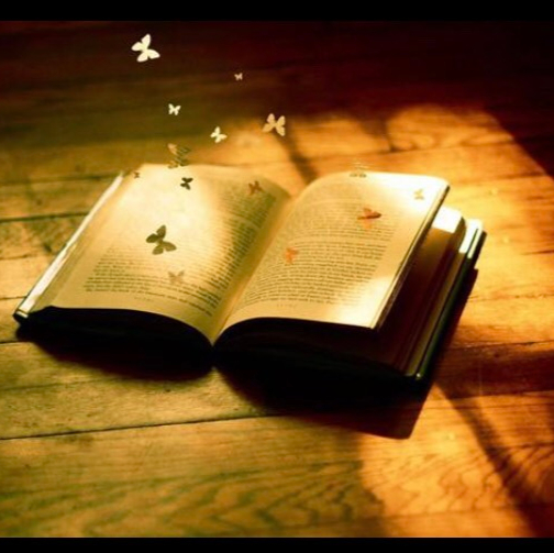 心至花开半夏微凉 